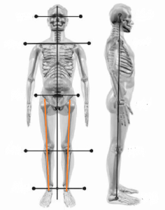 Your posture versus performance – NEURO PHYSIO DIRECT